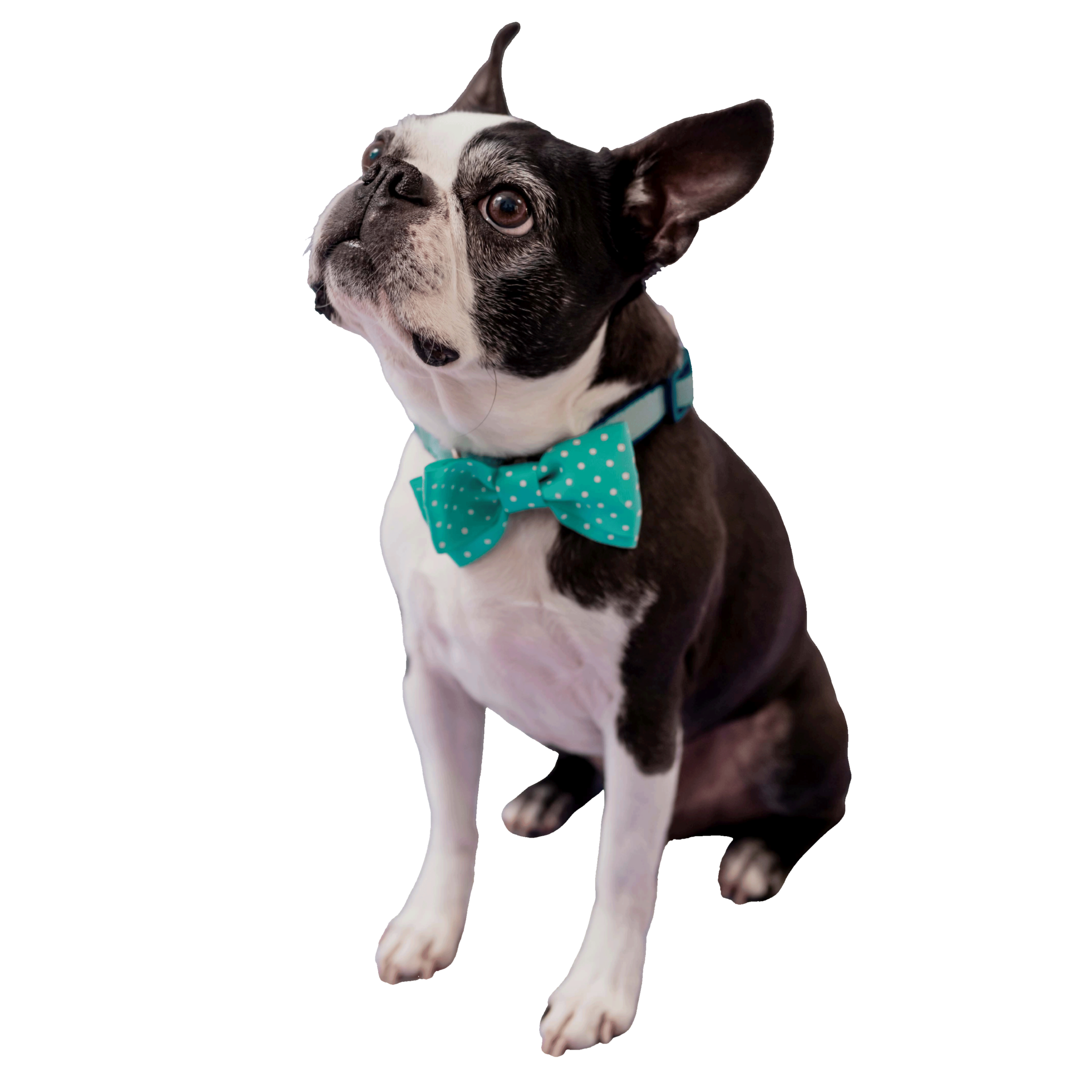 Our Services - Our Place